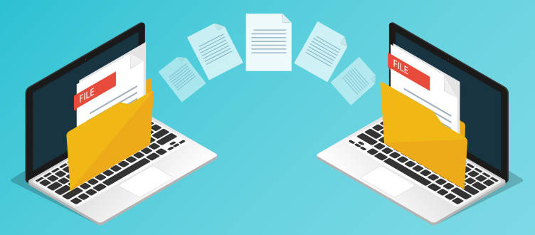 Ftp server hosting - botulsd Ftp server hosting - botulsd